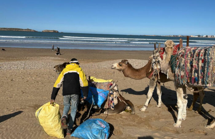 À la rencontre des initiatives du recyclage au Maroc | Plastic Odyssey