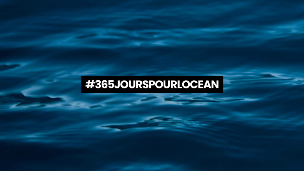 365 jours pour l'Océan | Plastic Odyssey