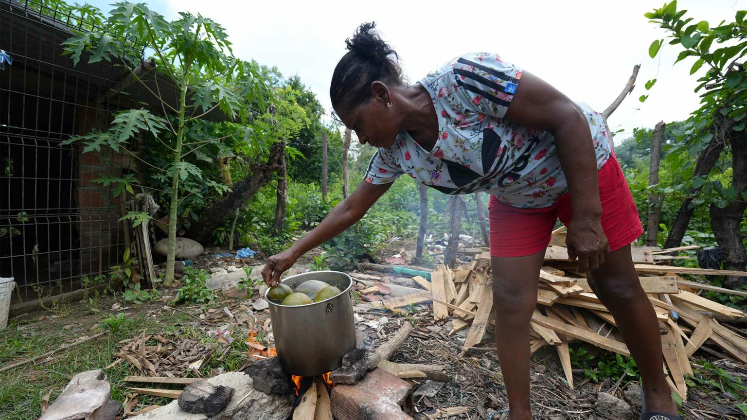 Totumo, an ancestral fruit from Colombia | Plastic Odyssey