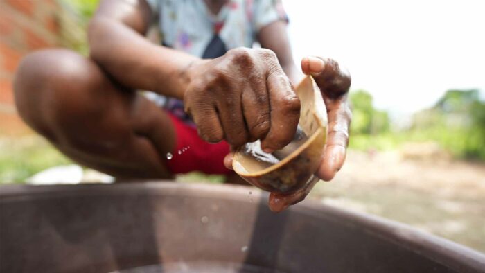 Totumo, an ancestral fruit from Colombia | Plastic Odyssey
