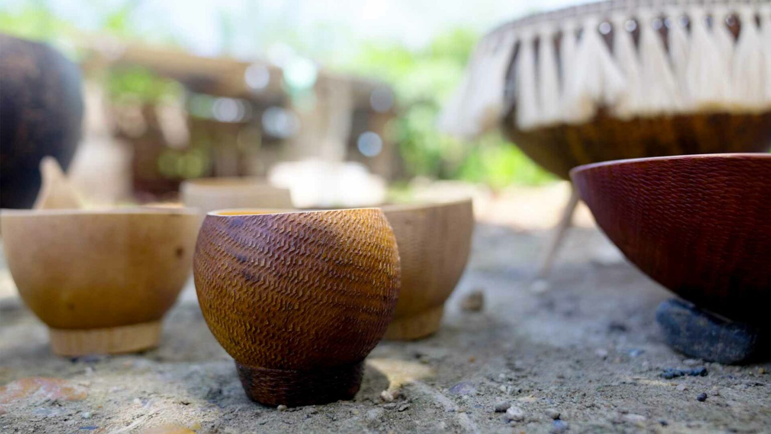 Totumo, un fruto ancestral de Colombia | Plastic Odyssey