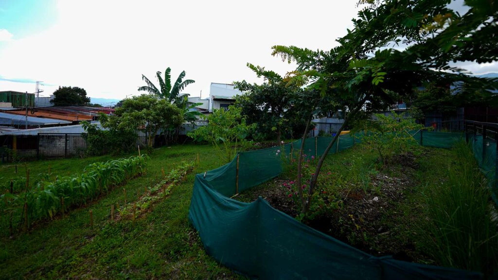 Costa Rica: from open-air dump to thriving oasis of life | Plastic Odyssey