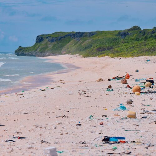 The Plastic Pollution Observatory | The Village - Plastic Odyssey