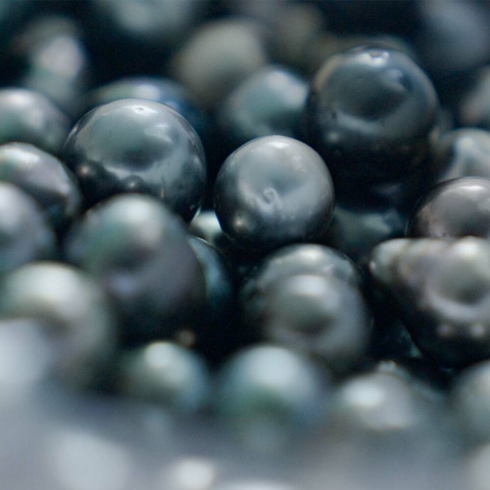 Totumo, an ancestral fruit from Colombia | Plastic Odyssey