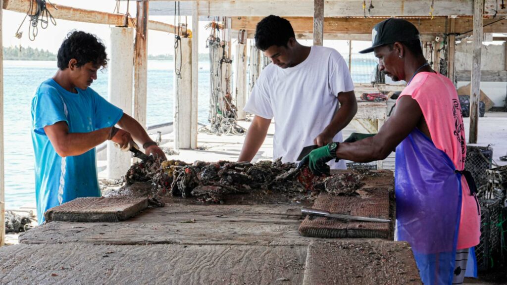 Pearl farming and plastic pollution in French Polynesia | Plastic Odyssey