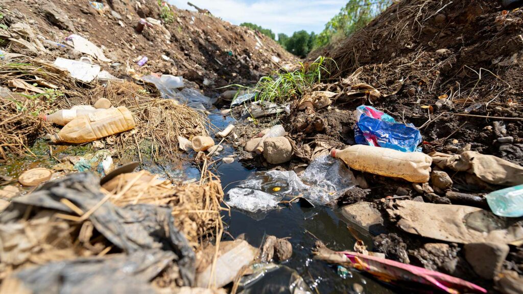 Fiji: Tourism, Coconuts and Plastic Pollution | Plastic Odyssey