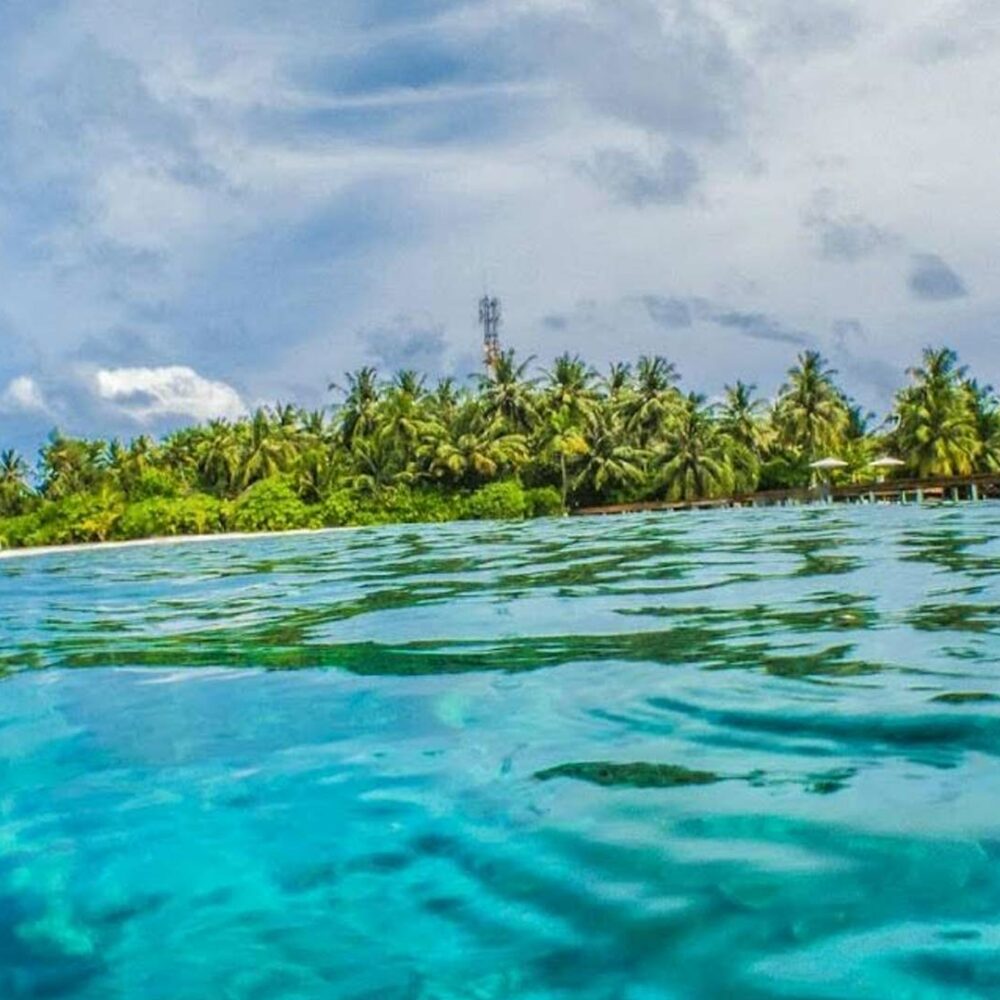 Fiji: tourism, coconuts and plastic pollution | Plastic Odyssey