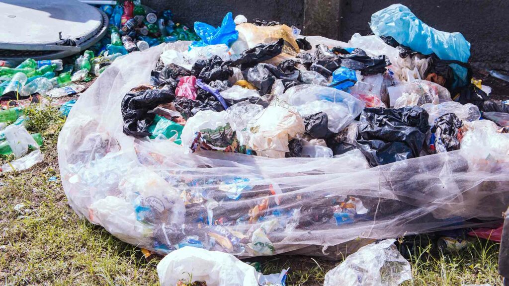 Recycling project launched in Nigeria | Plastic Odyssey