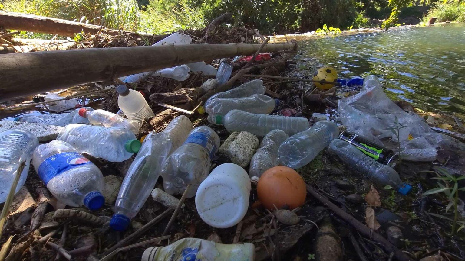 Mauritius: A Generation Of Entrepreneurs Committed To A Plastic-free ...