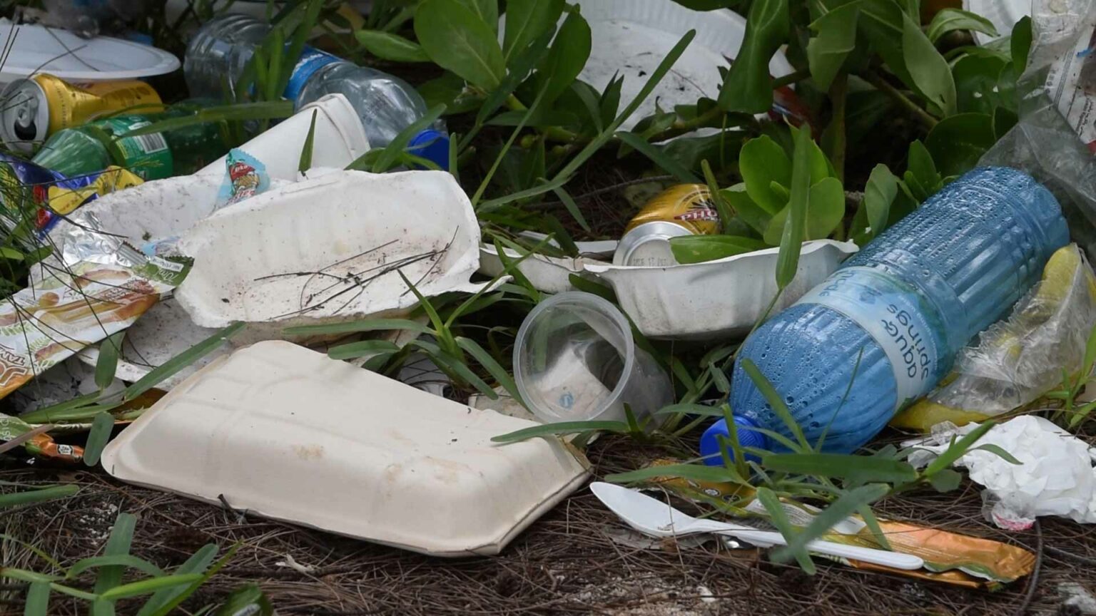 Mauritius: A Generation Of Entrepreneurs Committed To A Plastic-free ...
