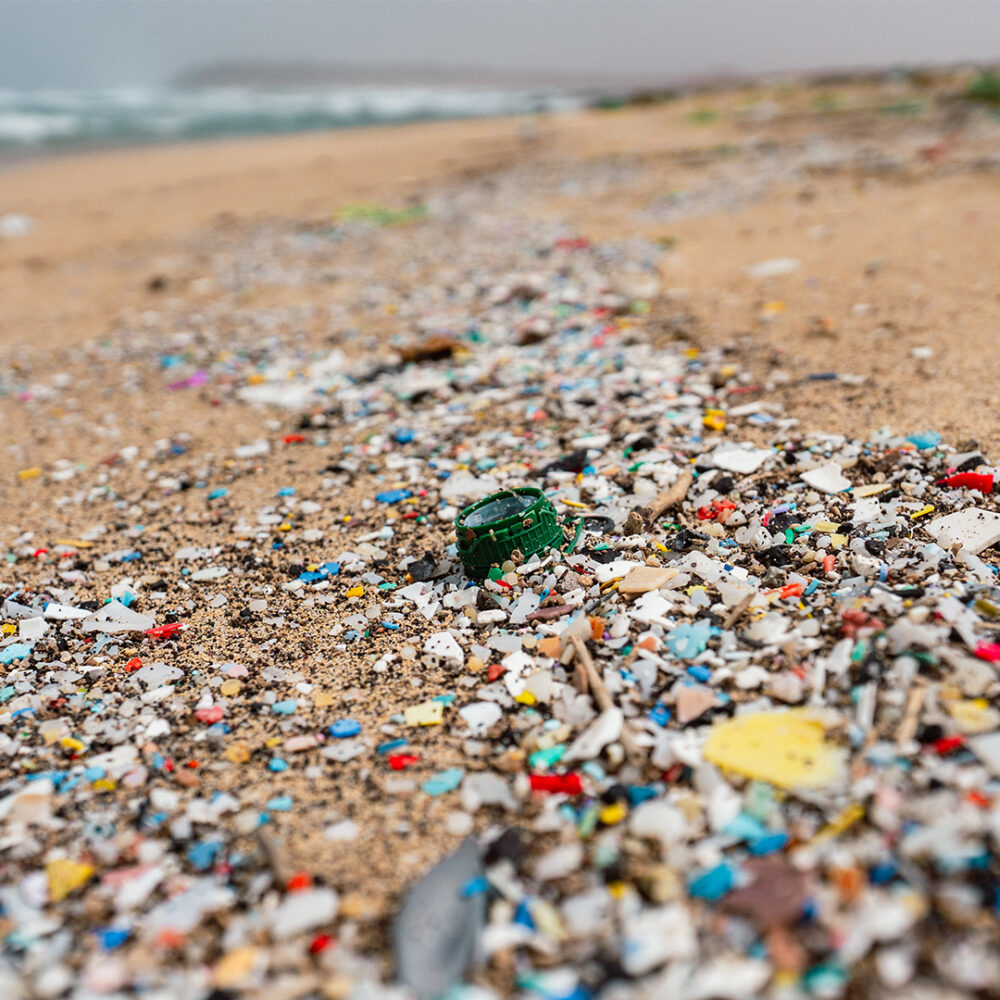 How much plastic is really entering the ocean? | Plastic Odyssey
